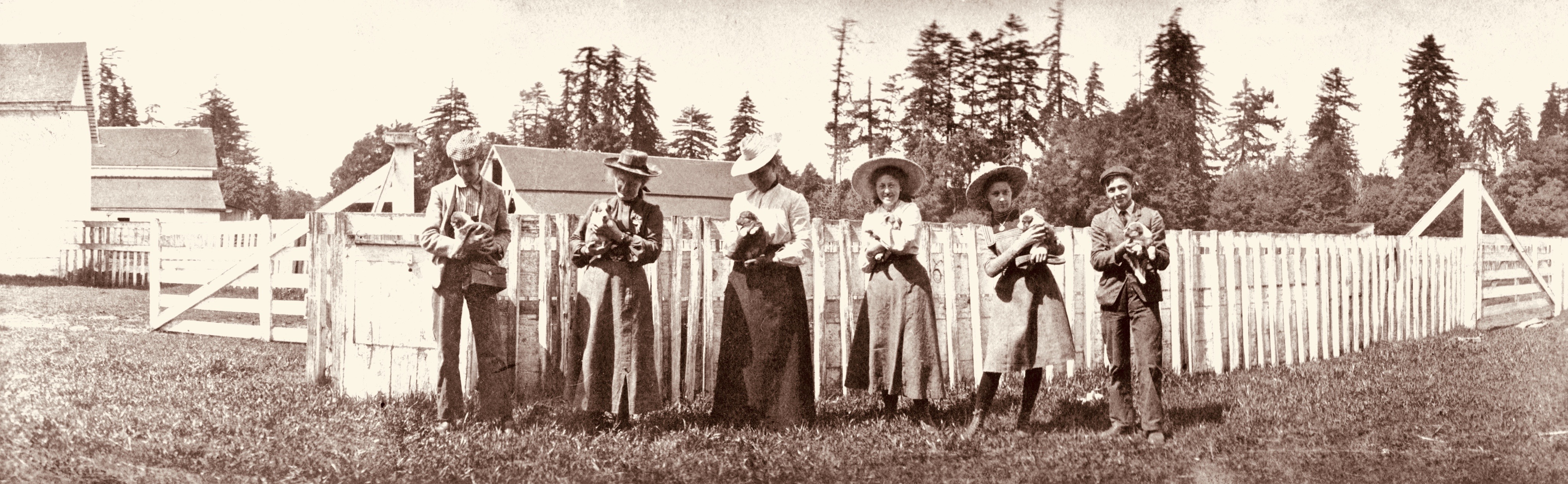 Family Trees – Tillmann Family Archives